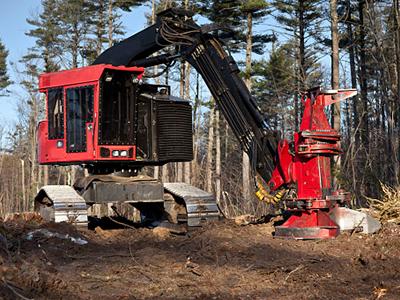Macchine e attrezzature in vendita per forestale | Mascus Italia